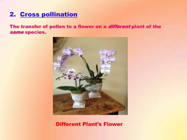 Reproduction in flowering plants (sexual reproduction) | PPSX ...