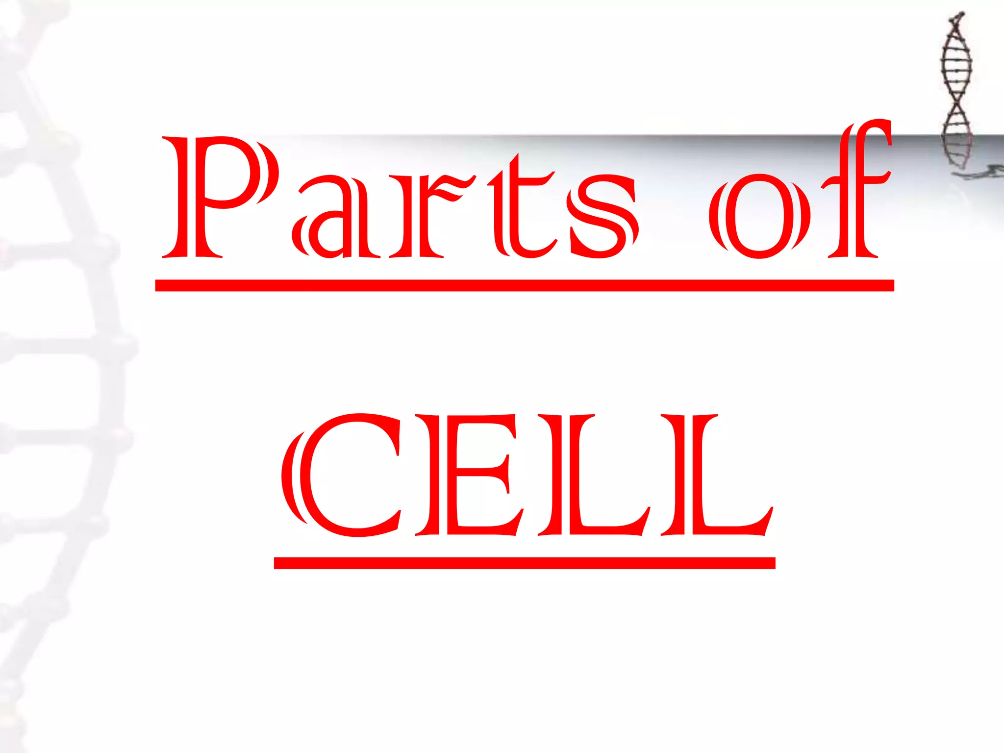Biology ppt(cell) | PPTX