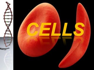 Biology ppt(cell) | PPTX