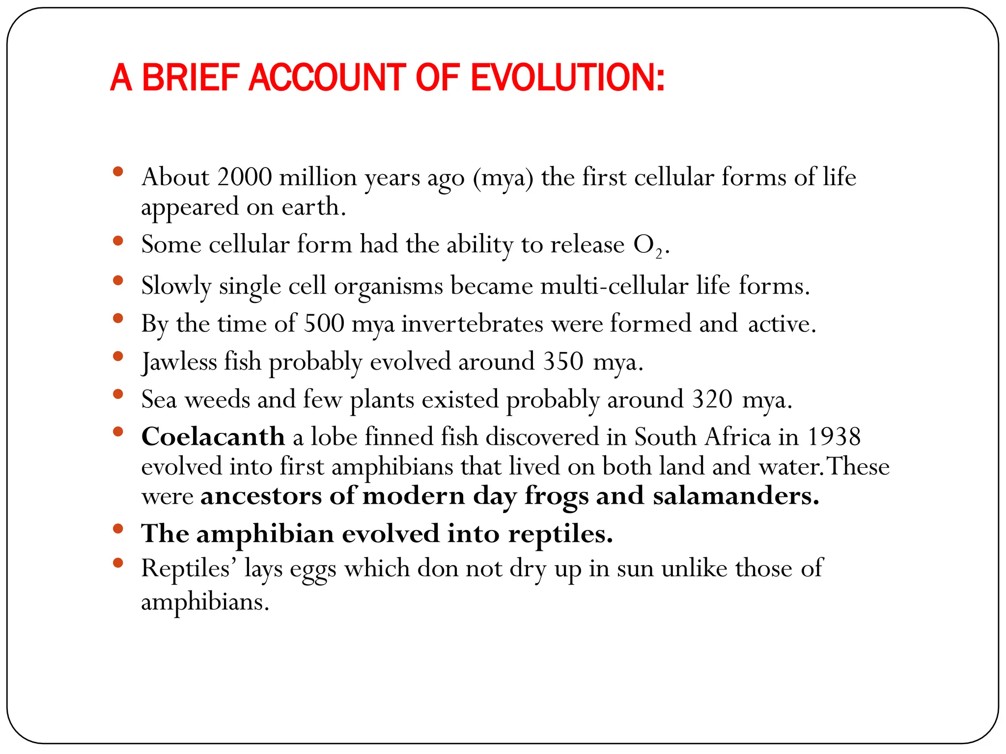 BIOLOGY PPT ( EVOLUTION ) CLASS XII.pptx