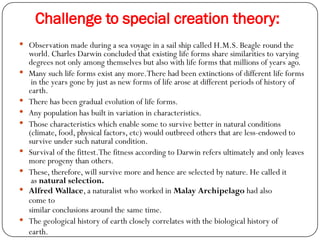 BIOLOGY PPT ( EVOLUTION ) CLASS XII.pptx