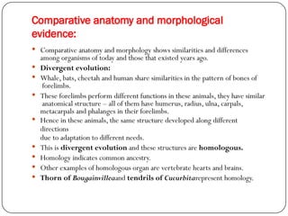 BIOLOGY PPT ( EVOLUTION ) CLASS XII.pptx