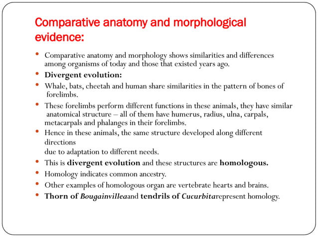BIOLOGY PPT ( EVOLUTION ) CLASS XII.pptx