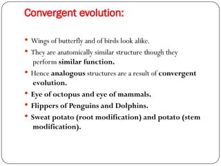 BIOLOGY PPT ( EVOLUTION ) CLASS XII.pptx