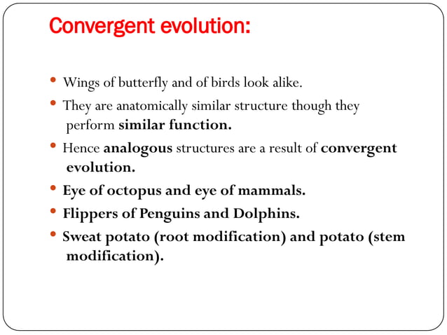 BIOLOGY PPT ( EVOLUTION ) CLASS XII.pptx