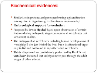 BIOLOGY PPT ( EVOLUTION ) CLASS XII.pptx