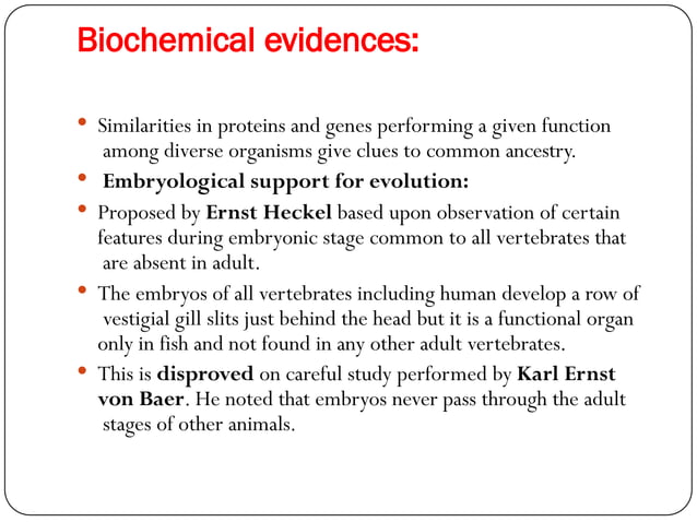 BIOLOGY PPT ( EVOLUTION ) CLASS XII.pptx