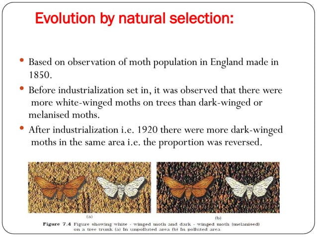 BIOLOGY PPT ( EVOLUTION ) CLASS XII.pptx