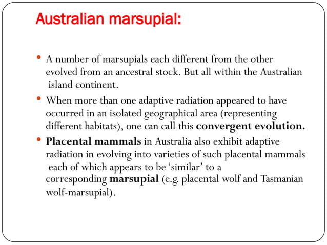 BIOLOGY PPT ( EVOLUTION ) CLASS XII.pptx