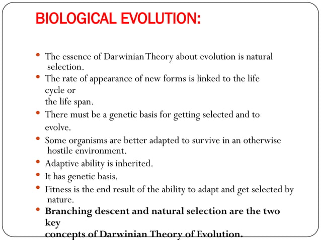 BIOLOGY PPT ( EVOLUTION ) CLASS XII.pptx