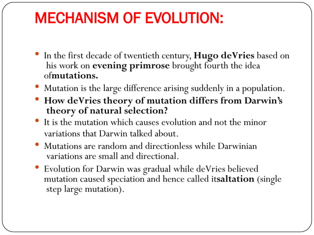 BIOLOGY PPT ( EVOLUTION ) CLASS XII.pptx