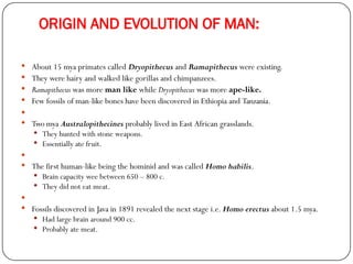 BIOLOGY PPT ( EVOLUTION ) CLASS XII.pptx
