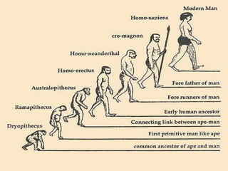 BIOLOGY PPT ( EVOLUTION ) CLASS XII.pptx