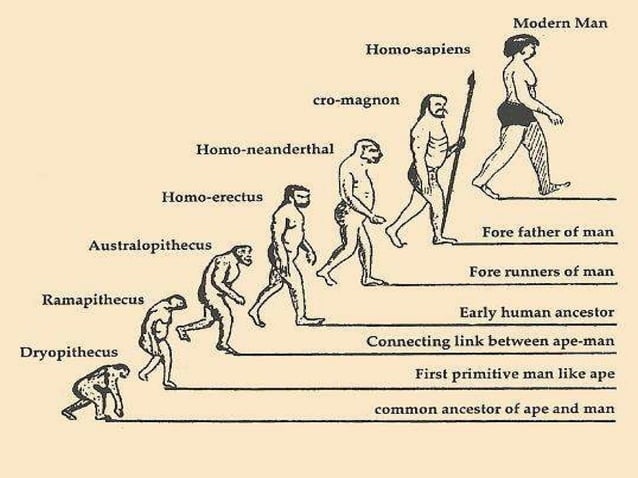 BIOLOGY PPT ( EVOLUTION ) CLASS XII.pptx
