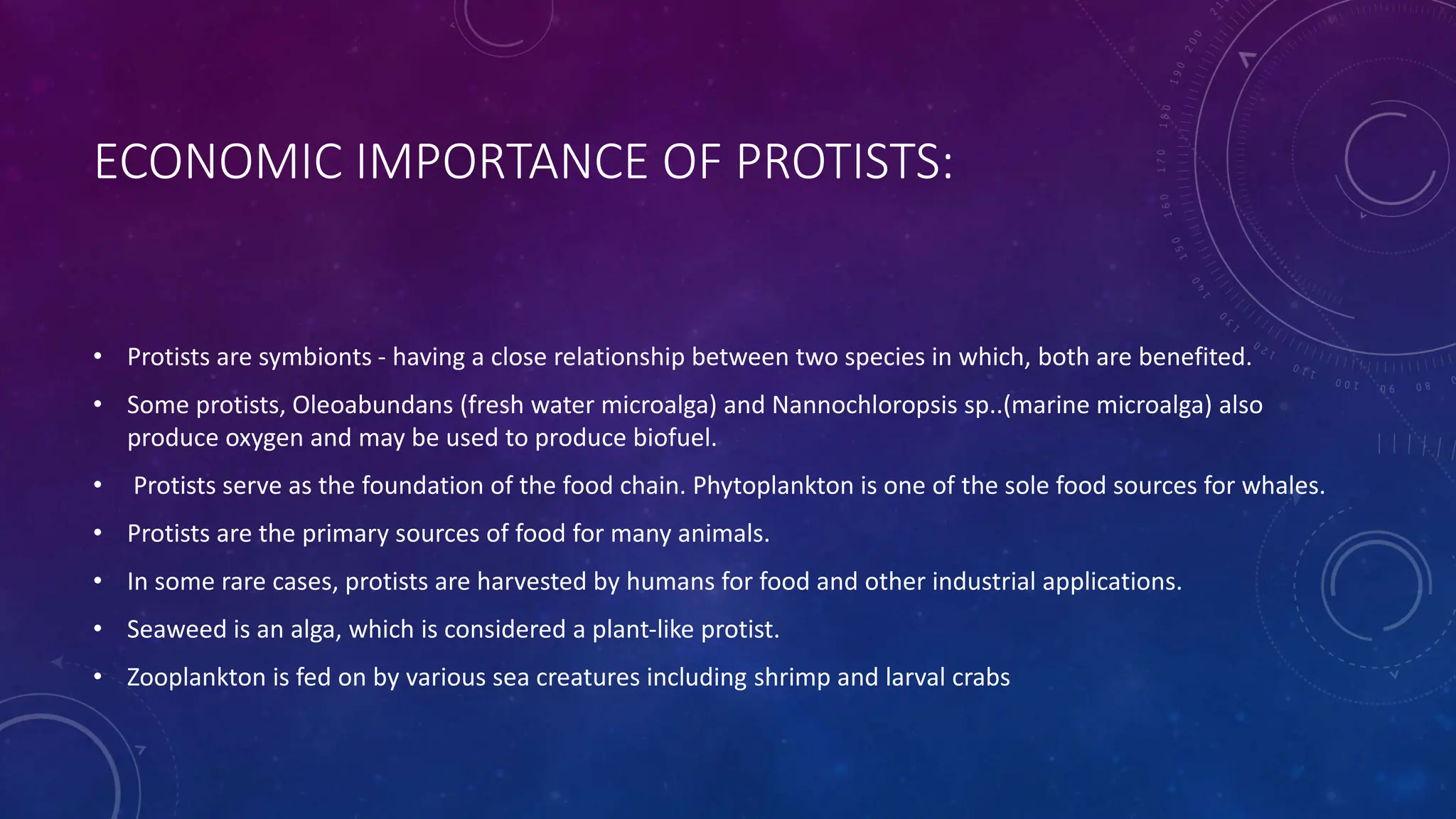 BIOLOGY PPT KINGDOM PROTISTA By Adithya.pptx