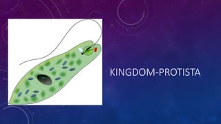 BIOLOGY PPT KINGDOM PROTISTA By Adithya.pptx