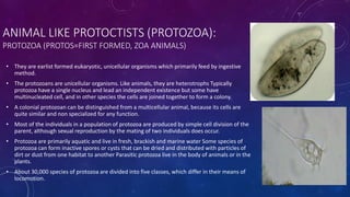 BIOLOGY PPT KINGDOM PROTISTA By Adithya.pptx