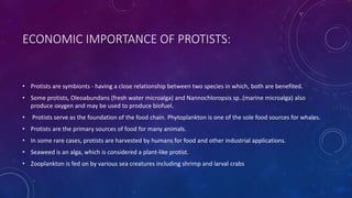 BIOLOGY PPT KINGDOM PROTISTA By Adithya.pptx