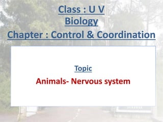 Biology PPT U5 3 Reflex arc pdf tralla talla | PDF