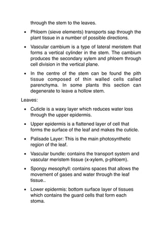 Biology prac aarjit | PDF