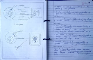 Biology Practical Class 12th 2025 PDF(2)-2-52.pdf