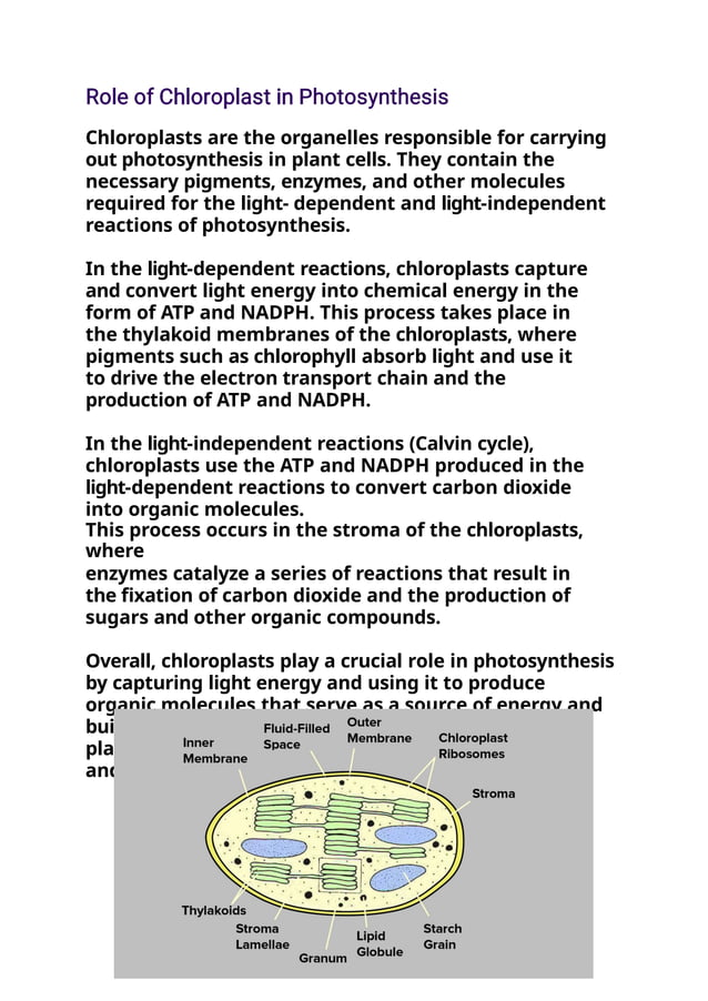 Biology Practical File (vishnu sharma).pptx