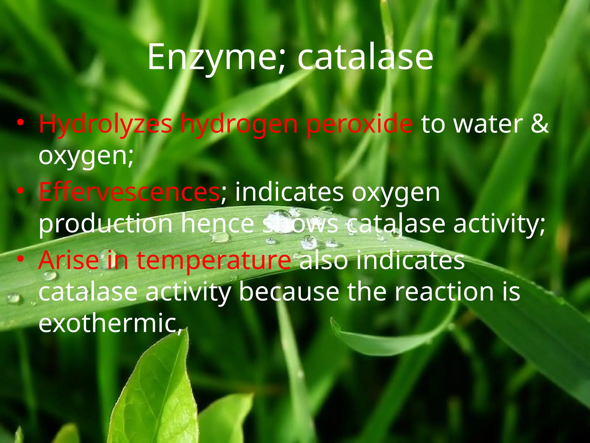 BIOLOGY PRACTICAL QUESTIONS AND SOLUTIONS A.pptx
