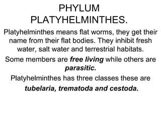 Biology practicals lesson notes | PPTX