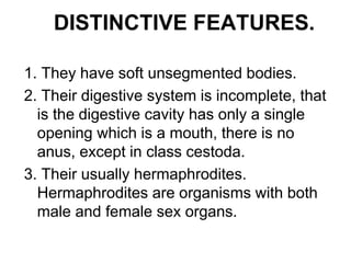 Biology practicals lesson notes | PPTX