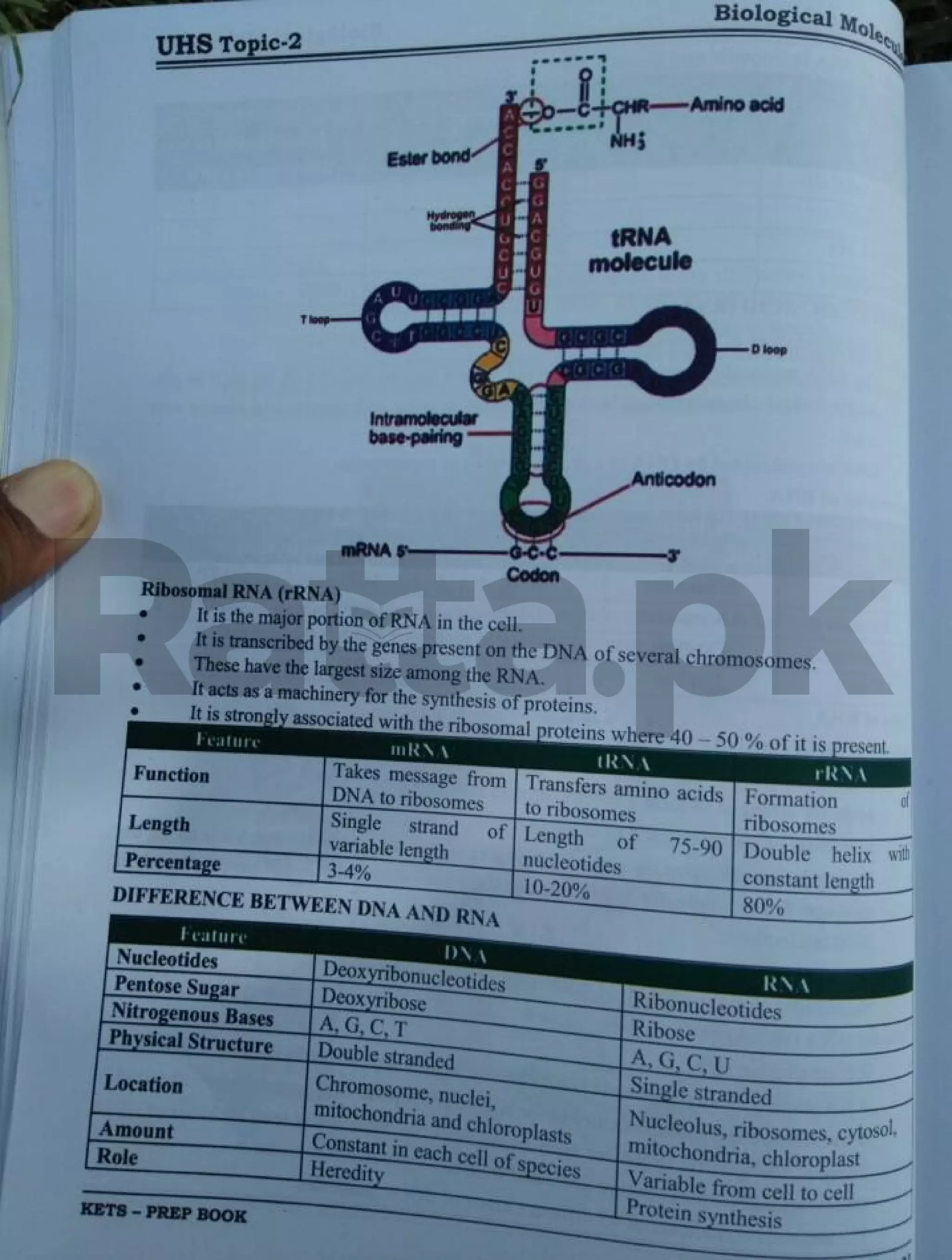 Kips Biology prep book-mdcat | PDF