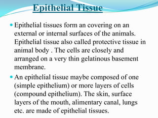 Biology presentation | PPTX | Physical Therapy | Wellness