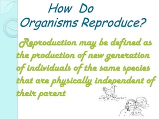 Biology presentation | PPT