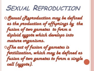 Biology presentation | PPT