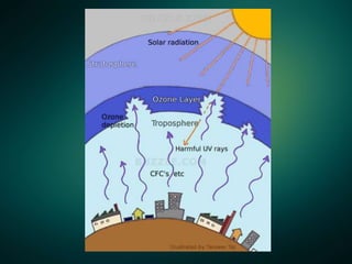 Ozone Layer Depletion, Greenhouse Effect & Global Warming | PPTX