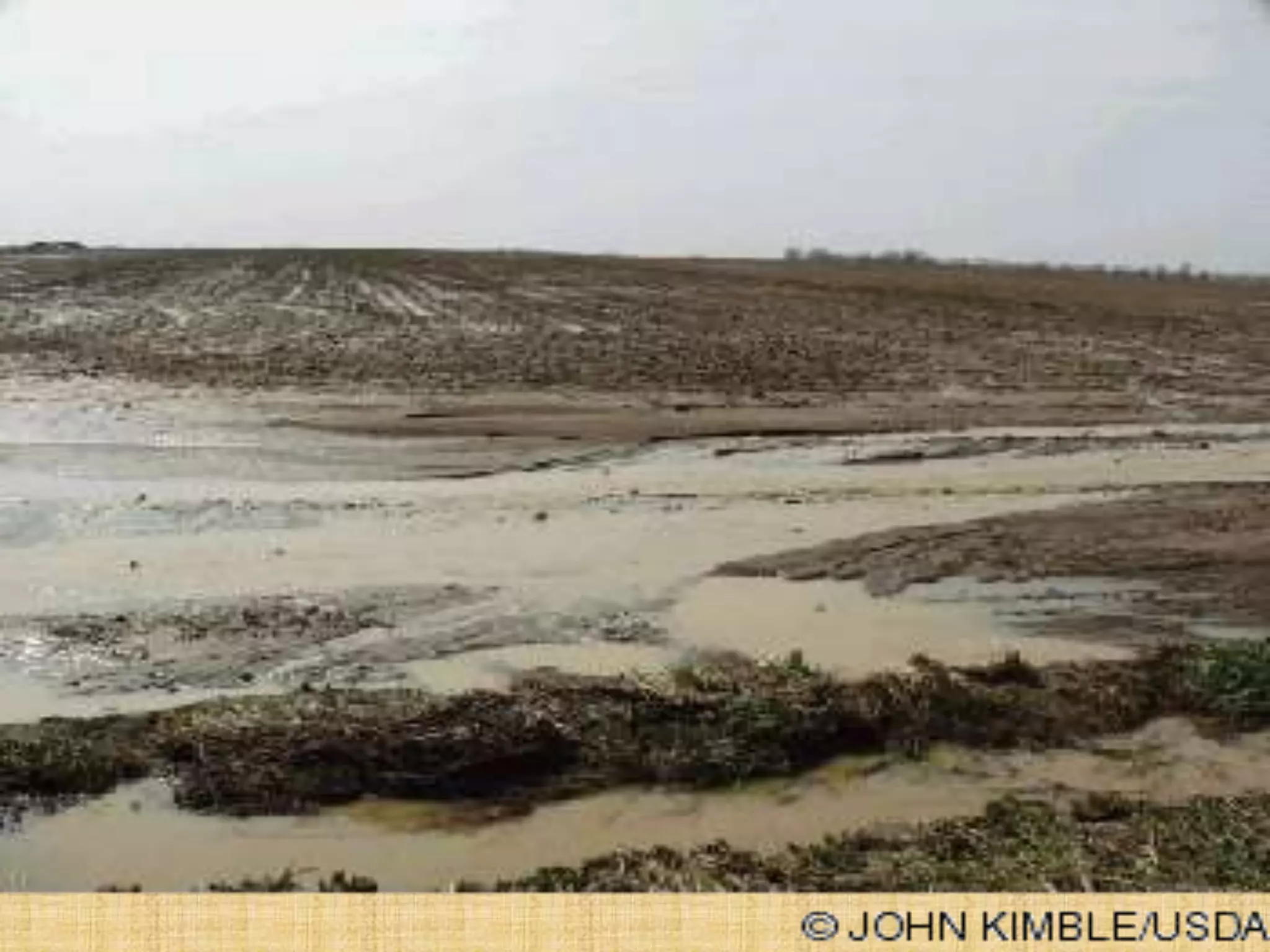 Biology - Soil erosion | PPT