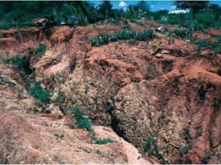 Biology - Soil erosion | PPTX