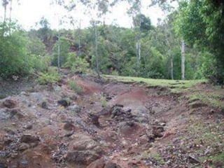 Biology - Soil erosion | PPTX