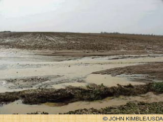 Biology - Soil erosion | PPTX