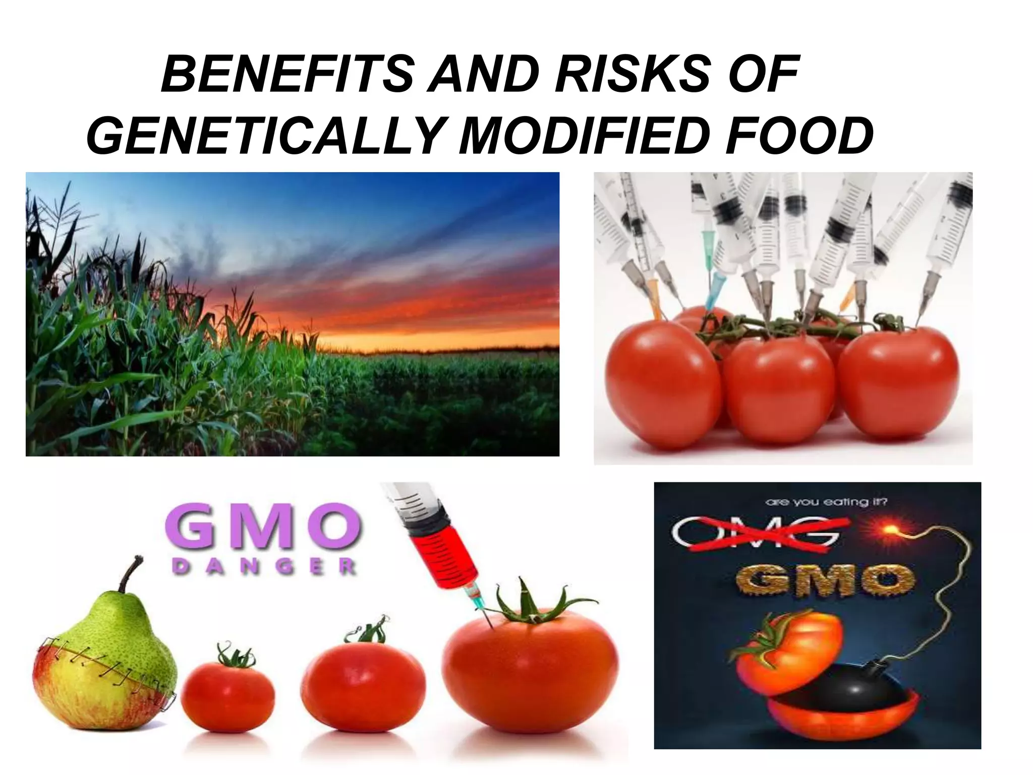 Genetically Modified Food | PPTX