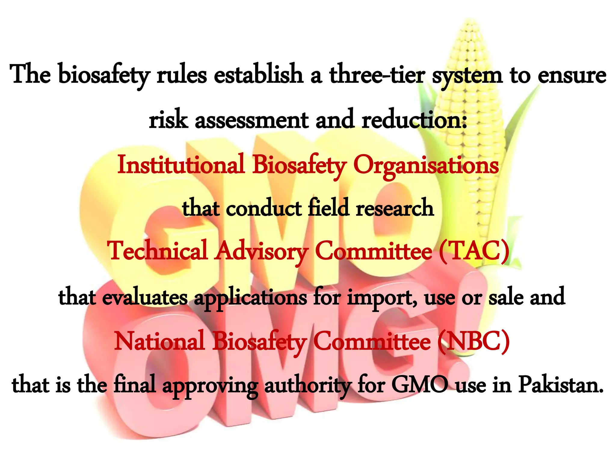 Genetically Modified Food | PPTX