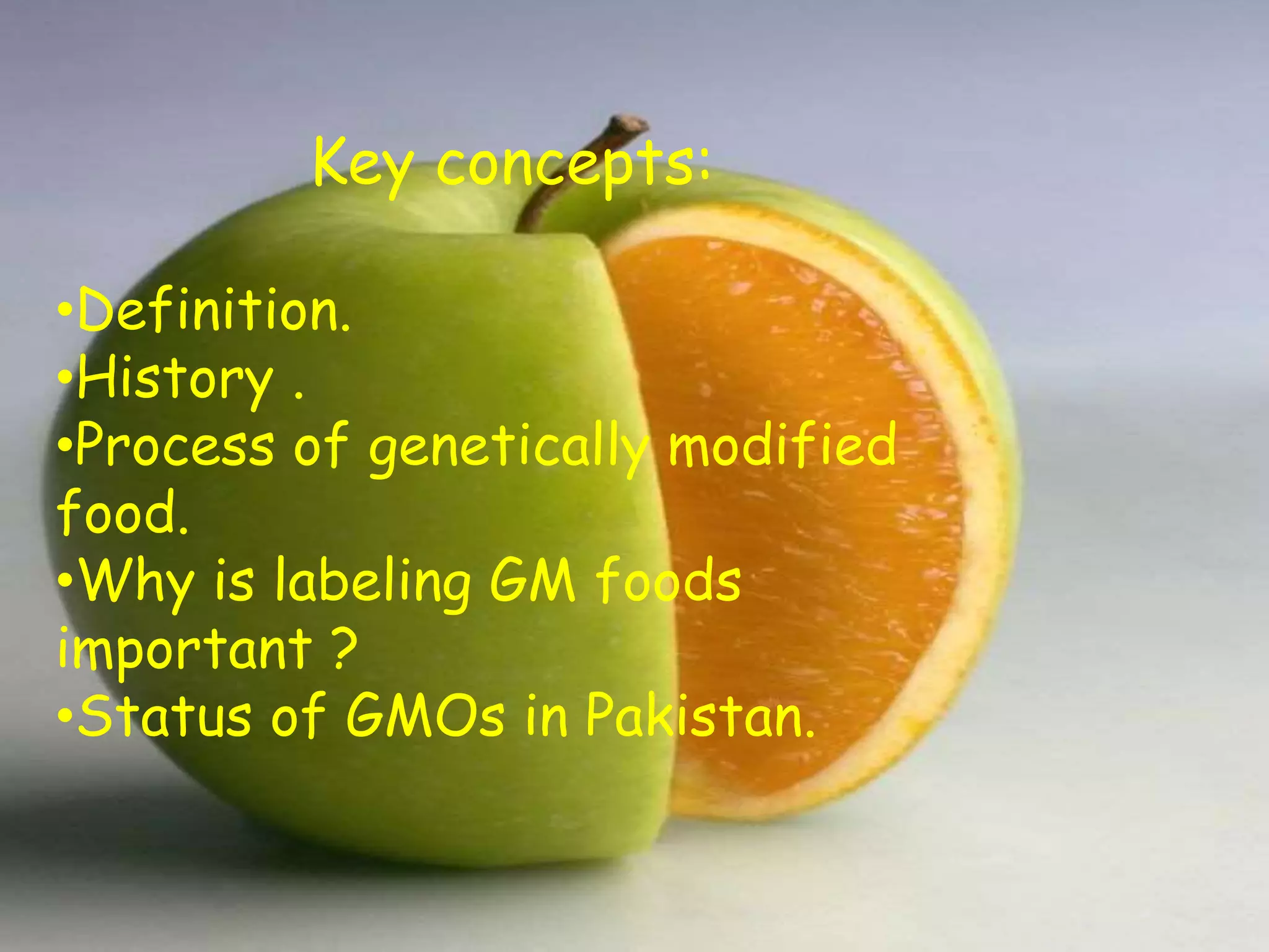 Genetically Modified Food | PPTX