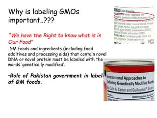 Genetically Modified Food | PPTX