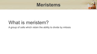 STPM Sem 1 plant Biology presentation slide | PPT