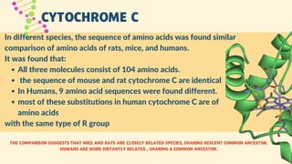 Evolution Presentation | PPT
