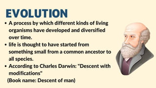 Evolution Presentation | PPT