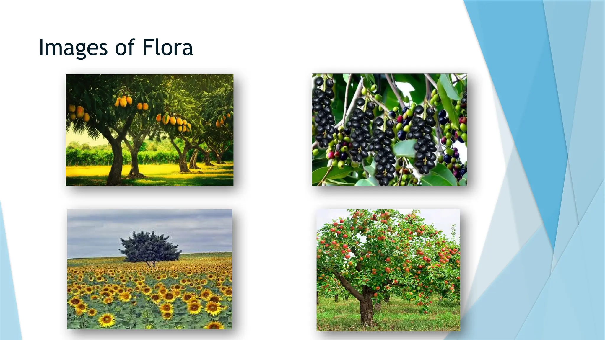 Class 8 biological science prensentation | PPTX