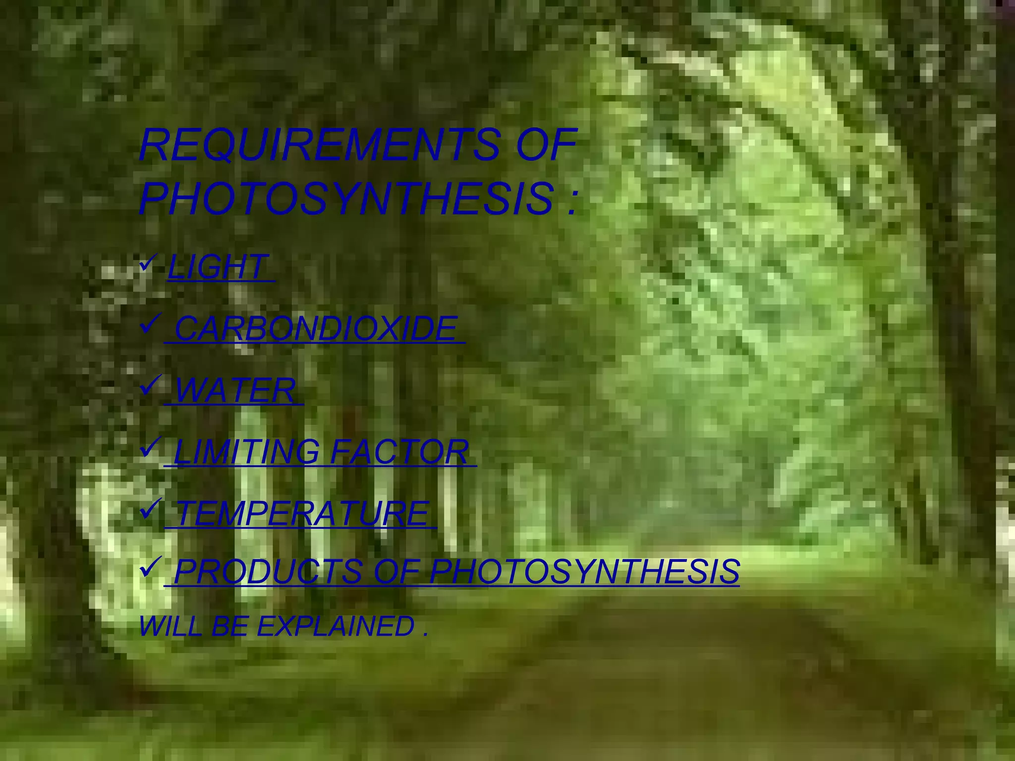 Biology presentation on photosynthesis (by afr ) | PPT