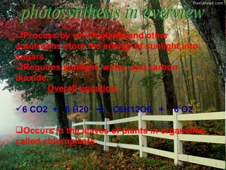 Biology presentation on photosynthesis (by afr ) | PPT