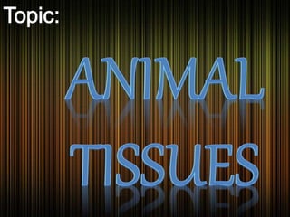 Animal Tissues PowerPoint Presentation | PPTX
