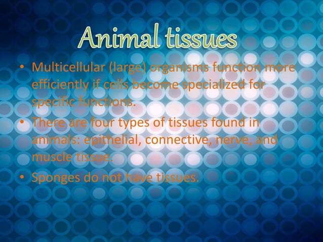 Animal Tissues PowerPoint Presentation | PPTX | Physical Therapy | Wellness